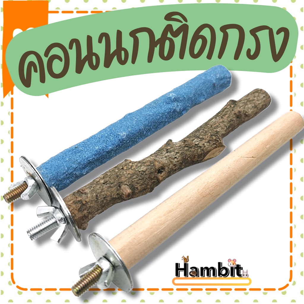 Hambit. คอนไม้นกแก้ว คอนไม้ติดกรง นกแก้ว ยกหอพัก ที่ยืนกรง นกหงส์หยก ...