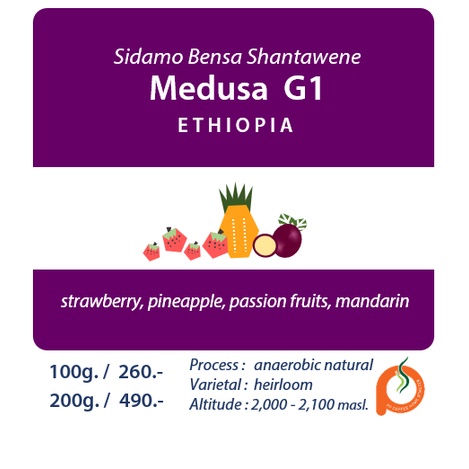 Ethiopia Sidamo Bensa Shantawene Medusa G1 / 100g. / 200g. | Shopee Thailand