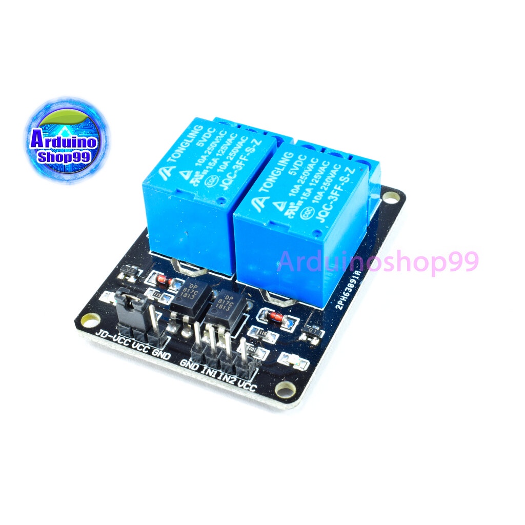 Relay 5V 2 Channel 10 A low level trigger | Shopee Thailand