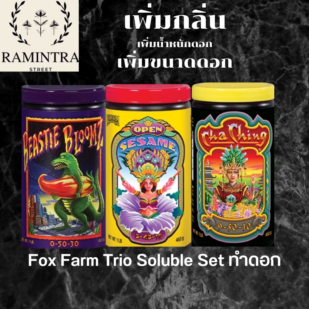 Foxfarm fox farm Open Sesame, Beastie Bloomz & Cha Ching (Set ทำดอก ...