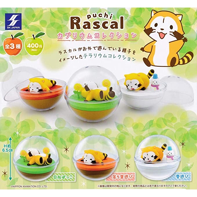 กาชาปอง พูชิ ราสคาล ฉากแร็กคูน 3 ฤดูในแคปซูล Puchi Rascal Caprium ...