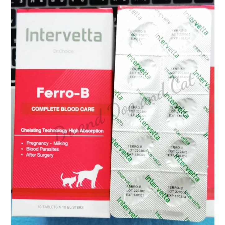 Dr.Choice Ferro B (Intervetta)วิตามินบำรุงเลือด ขนาด1แผง(10เม็ด) และ1กล่อง(100เม็ด) | Shopee ...