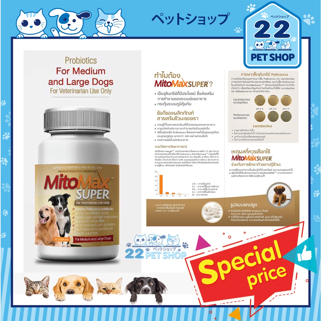 Mitomax Super Premium Probiotic โปรไบโอติก อาหารเสริม สุนัขช่วยในระบบ ...