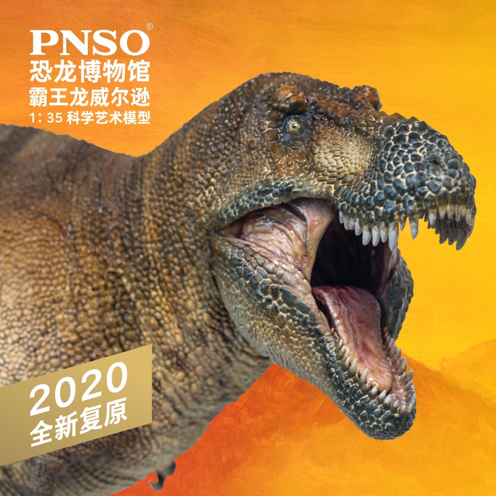 โมเดลไดโนเสาร์ PNSO Tyrannosaurus Tyrannosaurus Wilson 1/35 ของเล่น ...