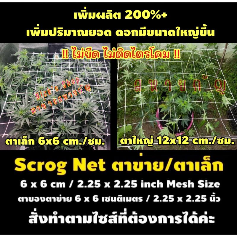 Scrog net ตาข่ายปลูกต้นไม้ ตาเล็ก 6 ซม./cm | Shopee Thailand