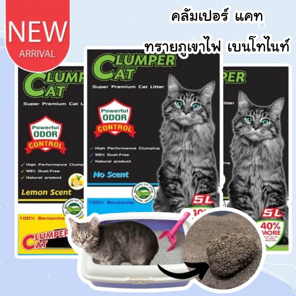 CatHoliday คลัมเปอร์ แคท Clumper Cat ทรายภูเขาไฟ เบนโทไนท์ ทรายแมว ...