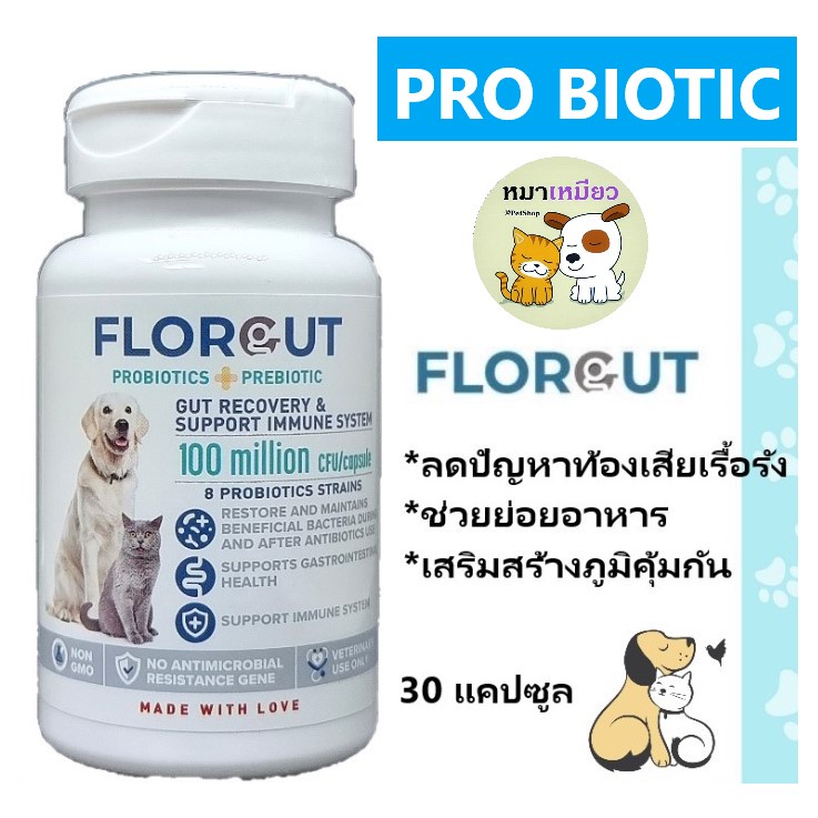 FLORGUT L อาหารเสริมโพรไบโอติกส์และพรีไบโอติก ลดปัญหาท้องเสียเรื้อรัง ...