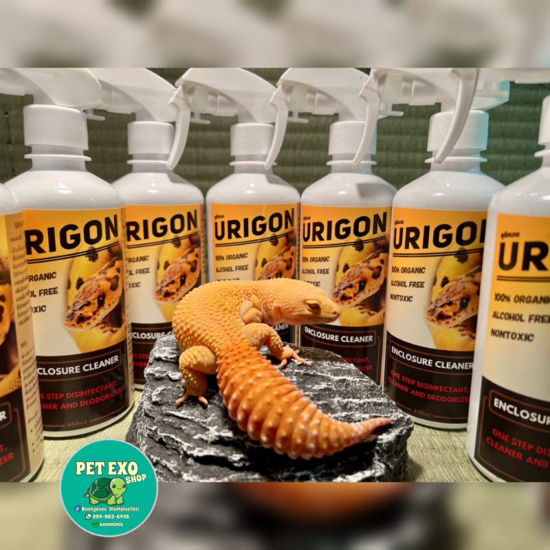 🐍Urigonขวด450ML.น้ำยาฆ่าเชื้อไม่ต้องล้างออก กำจัดเชื้อโปรโตซัวร์ คราบ ...