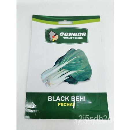 ผลิตภัณฑ์ใหม่ เมล็ดพันธุ์ จุดประเทศไทย CONDOR BLACK BEHI PECHAY SEEDS ...