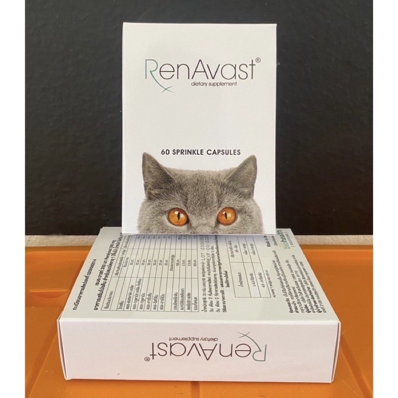 RenAvast CAT *แท้100% ฉลากไทย* อาหารเสริม บำรุงไต สำหรับแมว | Shopee ...