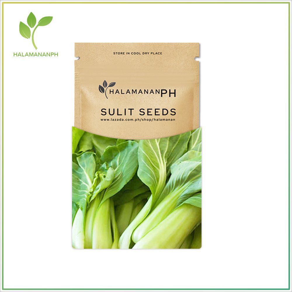ผลิตภัณฑ์ใหม่ เมล็ดพันธุ์ จุดประเทศไทย 1000 SEEDS PECHAY GREEN STEM ...