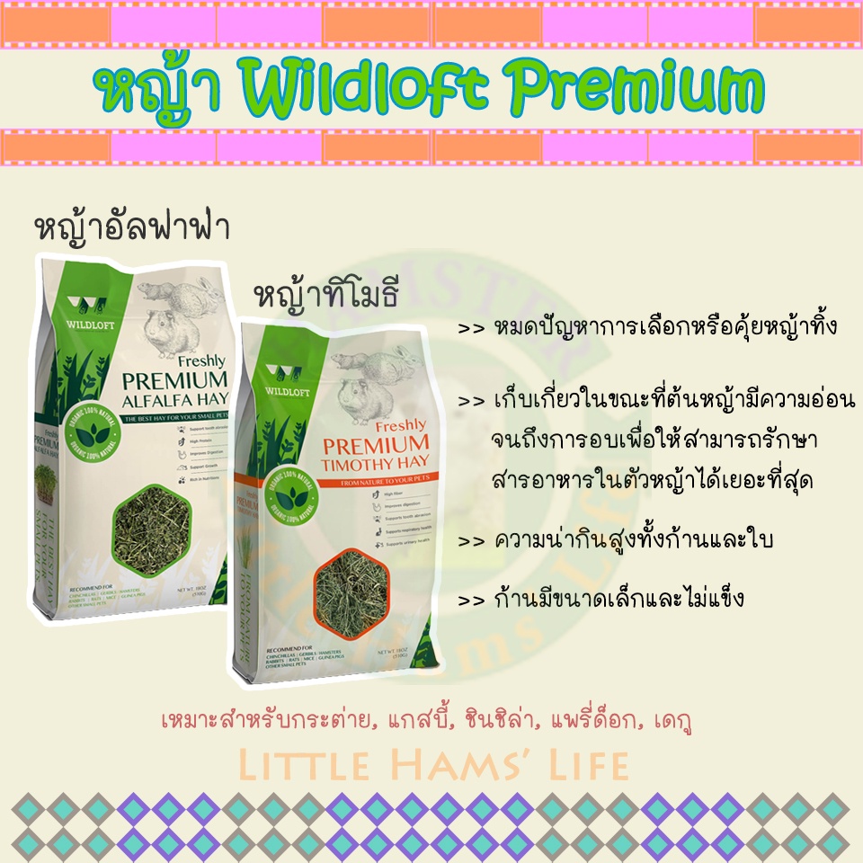 Wildloft หญ้าคุณภาพพรีเมี่ยม สำหรับกระต่าย แกสบี้ ชินชิล่า แพรี่ด็อก | Shopee Thailand