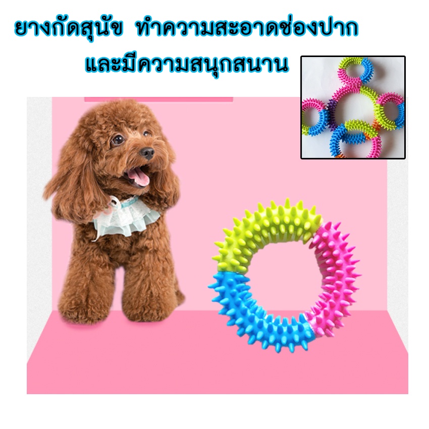 BN-205 ของเล่นสุนัข ยางกัด ของเล่นหมา แมว ให้น้องๆได้เพลิดเพลินกับความสนุก ของเล่นหมาทรงกลม มี ...