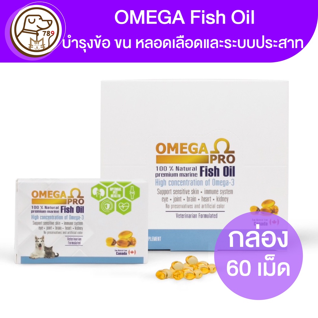 Omega Pro Fish Oil อาหารเสริม น้ำมันปลา 60เม็ด (กล่อง60เม็ด) | Shopee ...