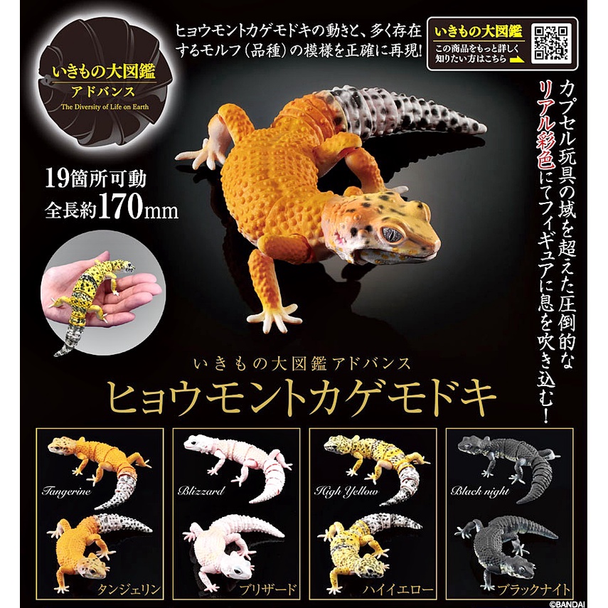 (เพิ่มสีส้มแรร์พร้อมส่ง) กาชาปองตุ๊กแกยิ้ม Gachapon Bandai Premium ...