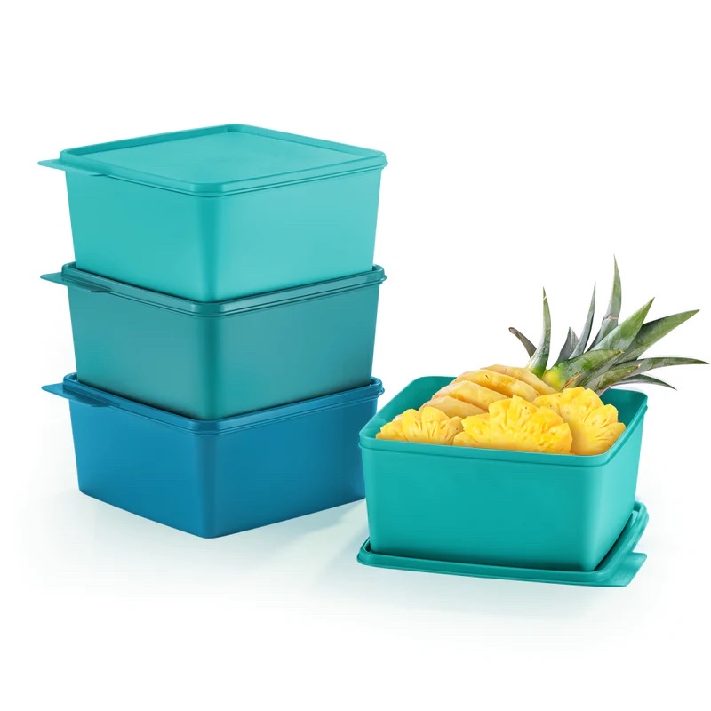 Tupperware Snack & Stack (4) 2.5L | Shopee Thailand
