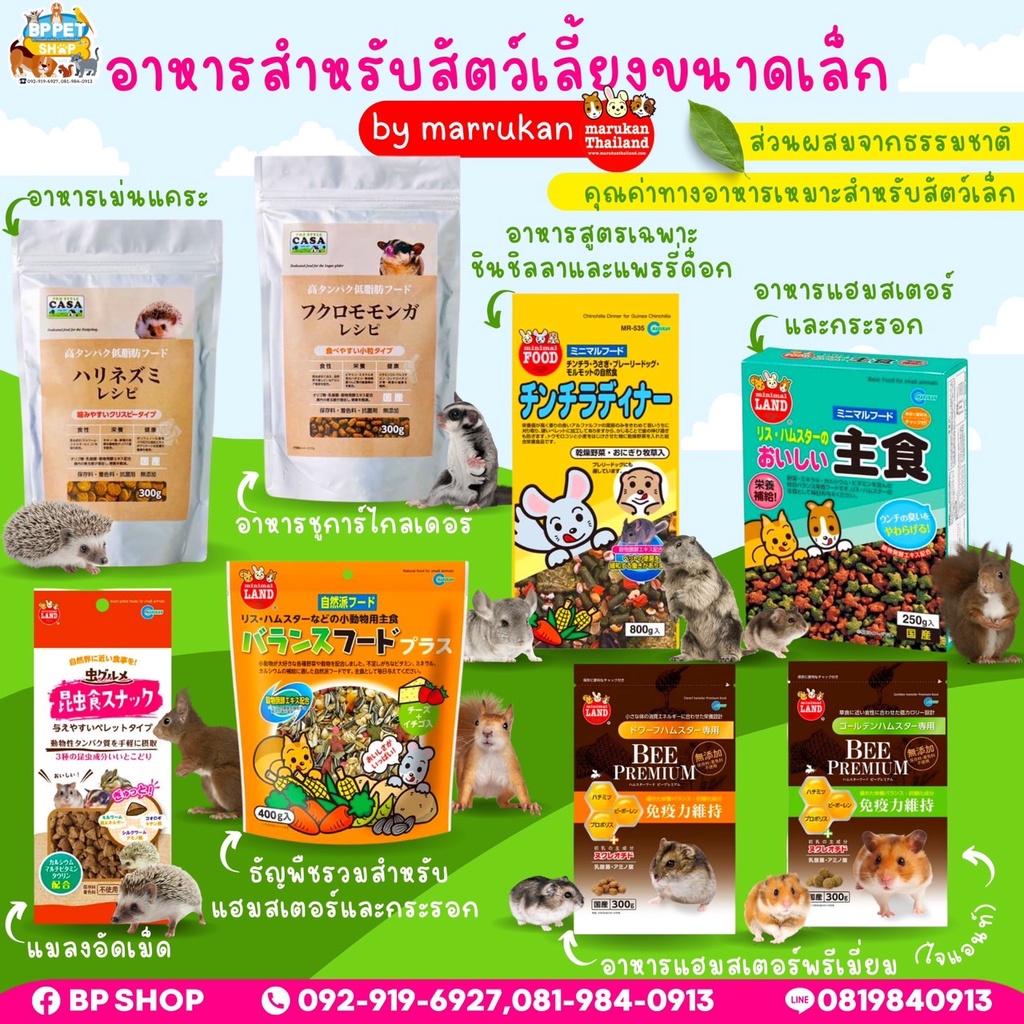 (IPshop) อาหารสำหรับสัตว์เลี้ยงขนาดเล็ก อาหารหนู ชูก้าร์ เม่นแคระ ...