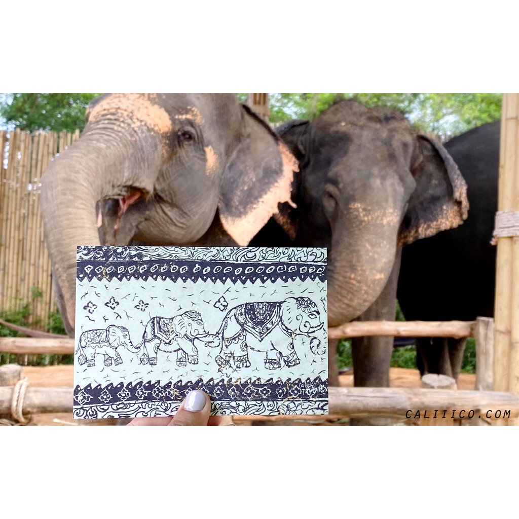 โปสการ์ด ลายประเทศไทย Thailand Postcard Thai Blue Elephant Postcard