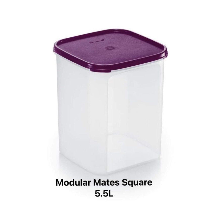 Tupperware รุ่น Modular Mates Square | Shopee Thailand
