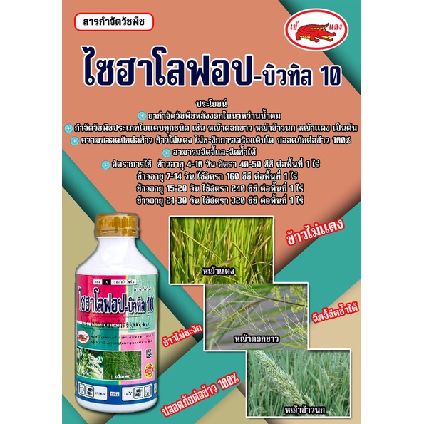 ไซฮาโลฟอบ บิวทิล10%W/V EC ยากำจัดวัชพืชใบแคบทุกชนิด โดยเฉพาะหญ้าดอกขาว ฉีดจี้ฉีดซ้ำได้ ไมเป็นพิษ ...