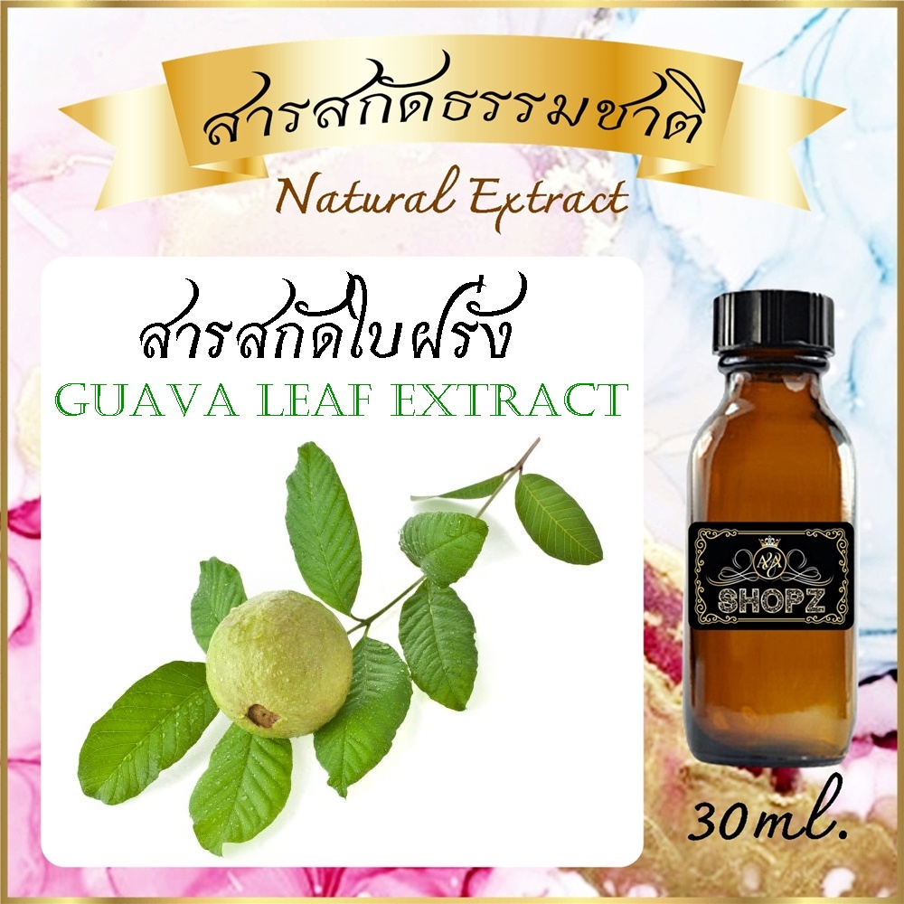 ️สารสกัดใบฝรั่ง ️ Guava Leaf Extract ขนาด 30 ml. สารสกัดธรรมชาติ สารสกัดสมุนไพร | Shopee Thailand