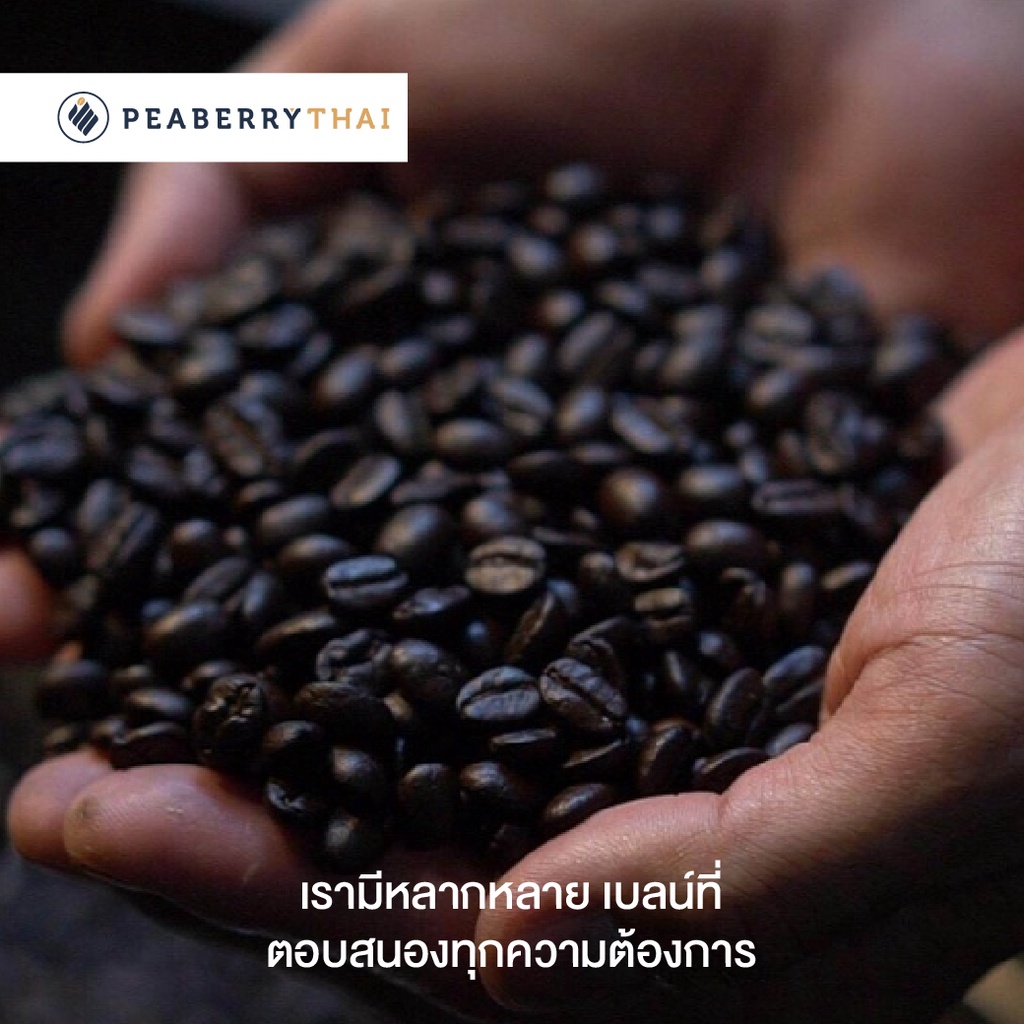 Pacamara P3 Blend 500g เมล็ดกาแฟไทย อาราบิก้า 100% คั่วเข้ม ขนาดบรรจุ 500 กรัม | Shopee Thailand