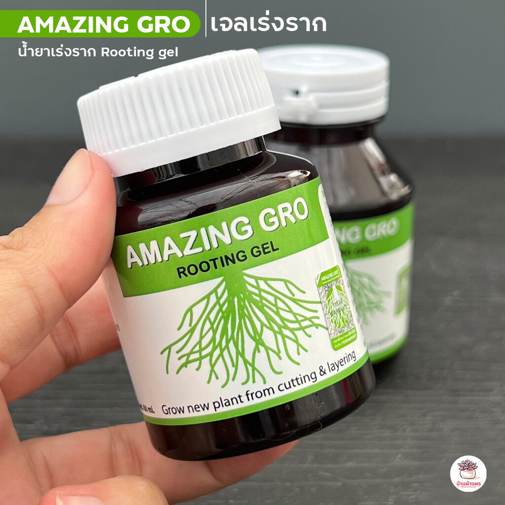 เจลเร่งราก Amazing Gro น้ำยาเร่งราก Rooting gel กระบองเพชร ไม้อวบน้ำ ...