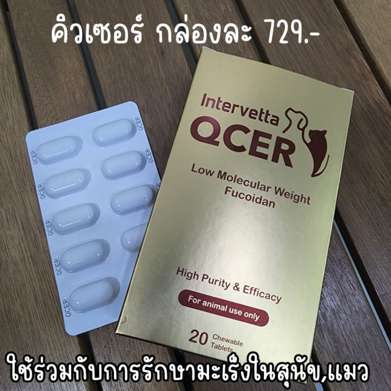 QCER 20เม็ด ใช้เสริมวิตามินสำหรับสุนัขและแมวที่รักษามะเร็ง | Shopee Thailand
