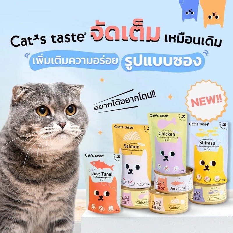 อาหารเปียกแมว Cat’s Taste (Japan quality) ขนาดซอง 70/75 กรัม ล็อตใหม่! ไม่ค้างสต็อก | Shopee ...