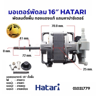 พัดลม, Hatari, 16 นิ้ว ราคาพิเศษ | Shopee Thailand