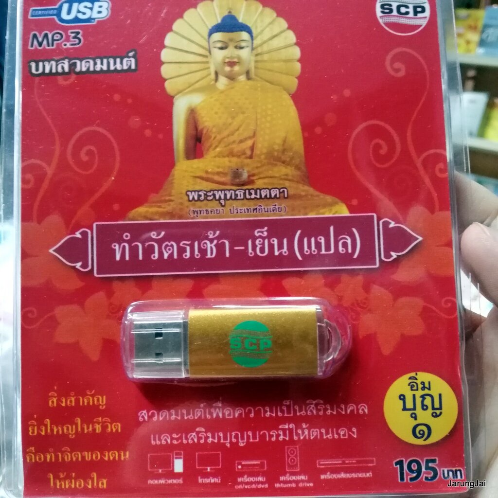 usb บทสวดมนต์ ทำวัตรเช้า-เย็น (แปล) อิ่มบุญ 1 / mp3 usb scp 060 | Shopee Thailand