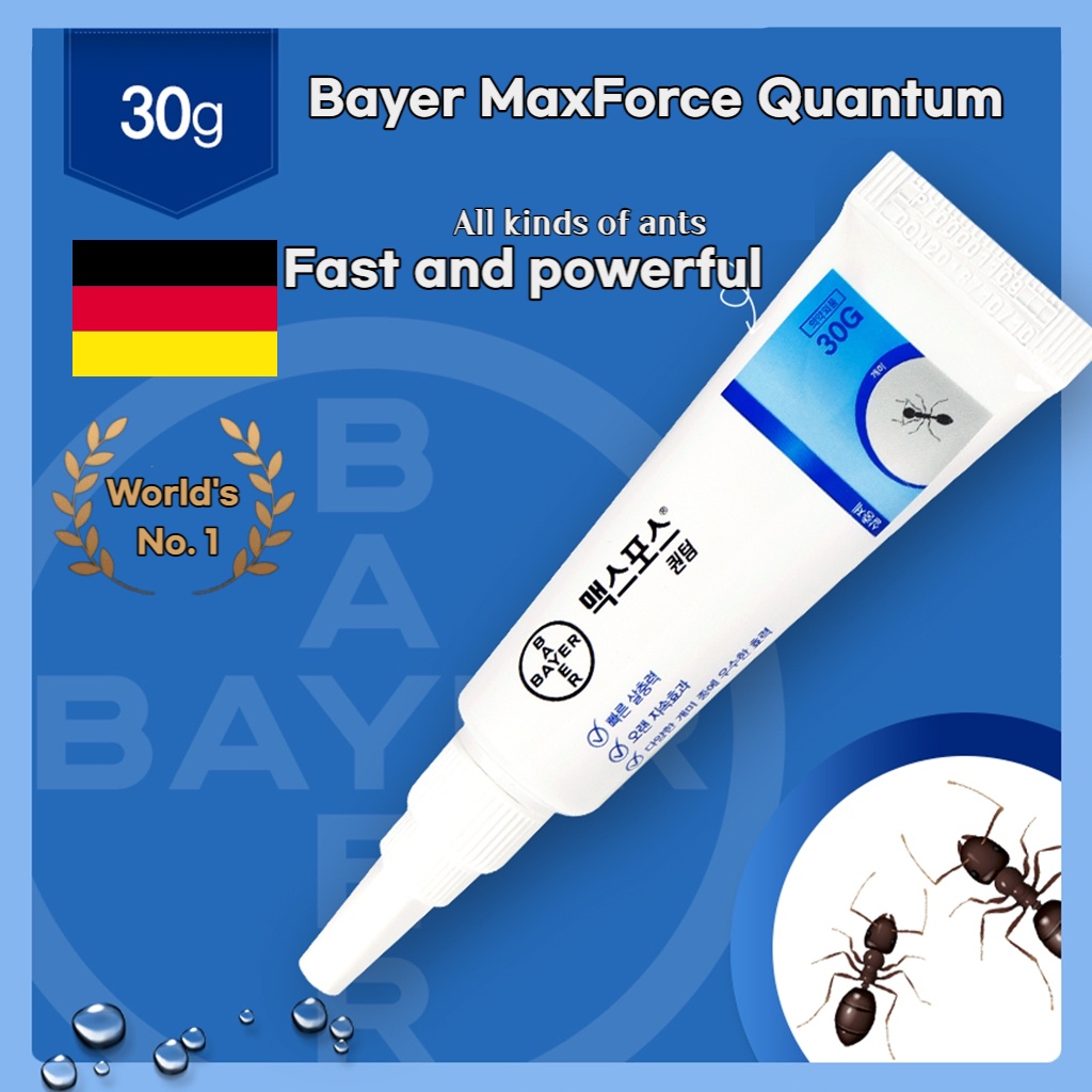 Bayer Maxforce Quantum ควอนตัม ควบคุมมด รวดเร็ว ติดทนนาน 30 กรัม | Shopee Thailand