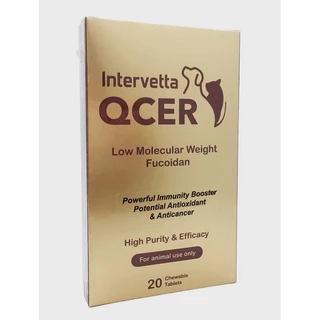 qcer ราคาพิเศษ | ซื้อออนไลน์ที่ Shopee ส่งฟรี*ทั่วไทย!