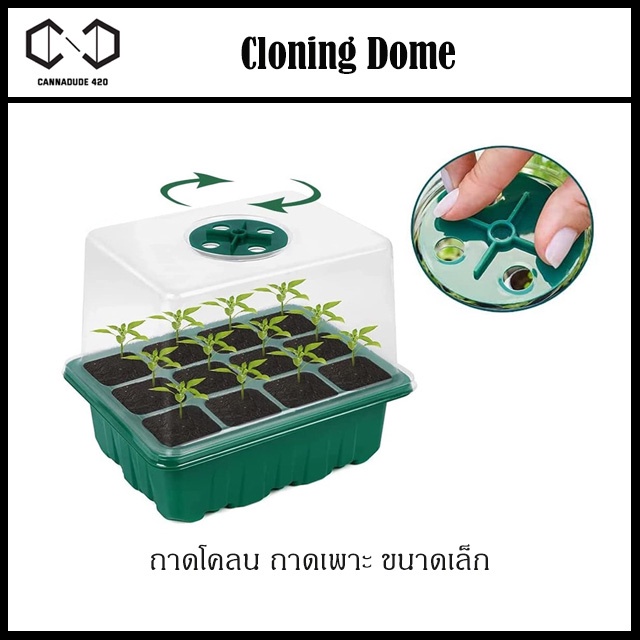 ถาดเพาะเมล็ด ถาดเพาะปลูกผัก ถาดโคลน cloning dome clone tray germination ...