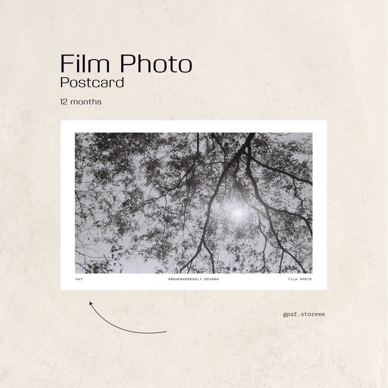 postcard film 12 months โปสการ์ดภาพถ่าย โปสการ์ด โปสการ์ดภาพถ่ายฟิล์ม12 ...