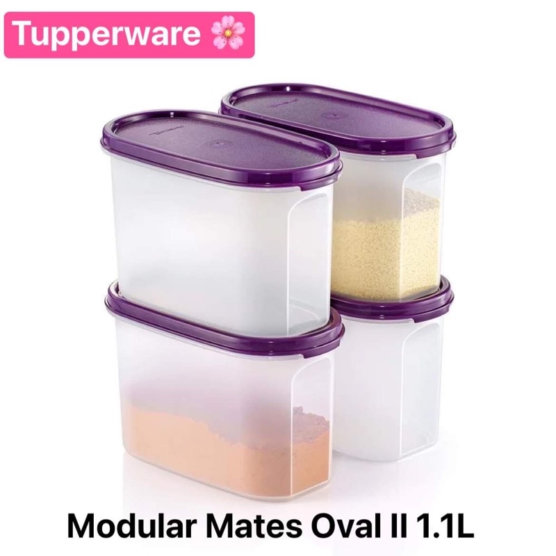 Tupperware รุ่น Modular Mates Oval II 1.1L | Shopee Thailand
