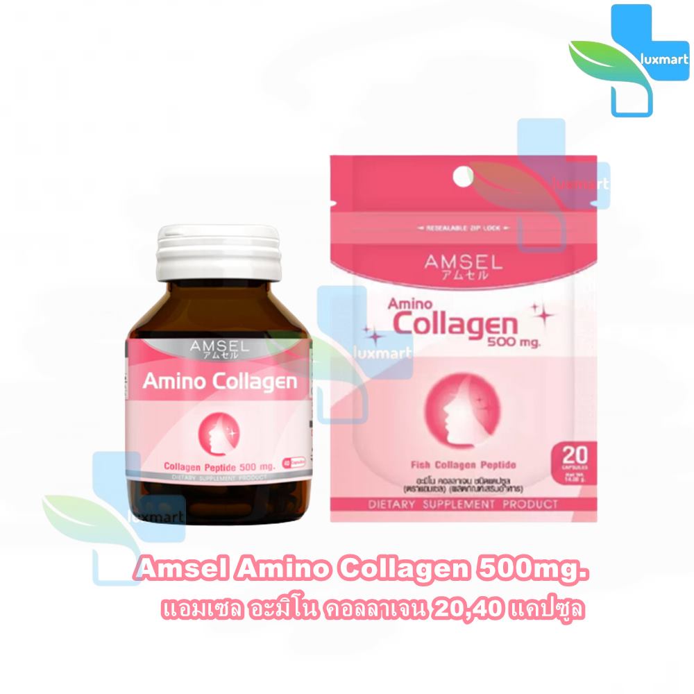 Amsel Amino Collagen 500mg. แอมเซล อะมิโน คอลลาเจน 20,40 แคปซูล ...