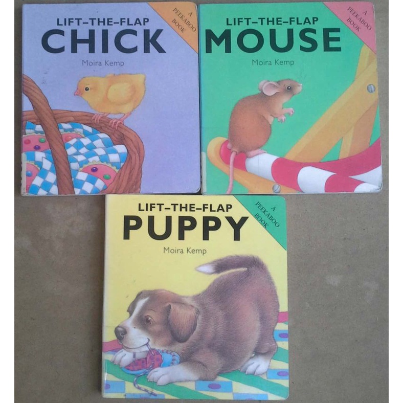 10 Board Book Lift-the-Flap Chick, Mouse, Puppy หนังสือมือสอง บอร์ดบุ๊ค ...