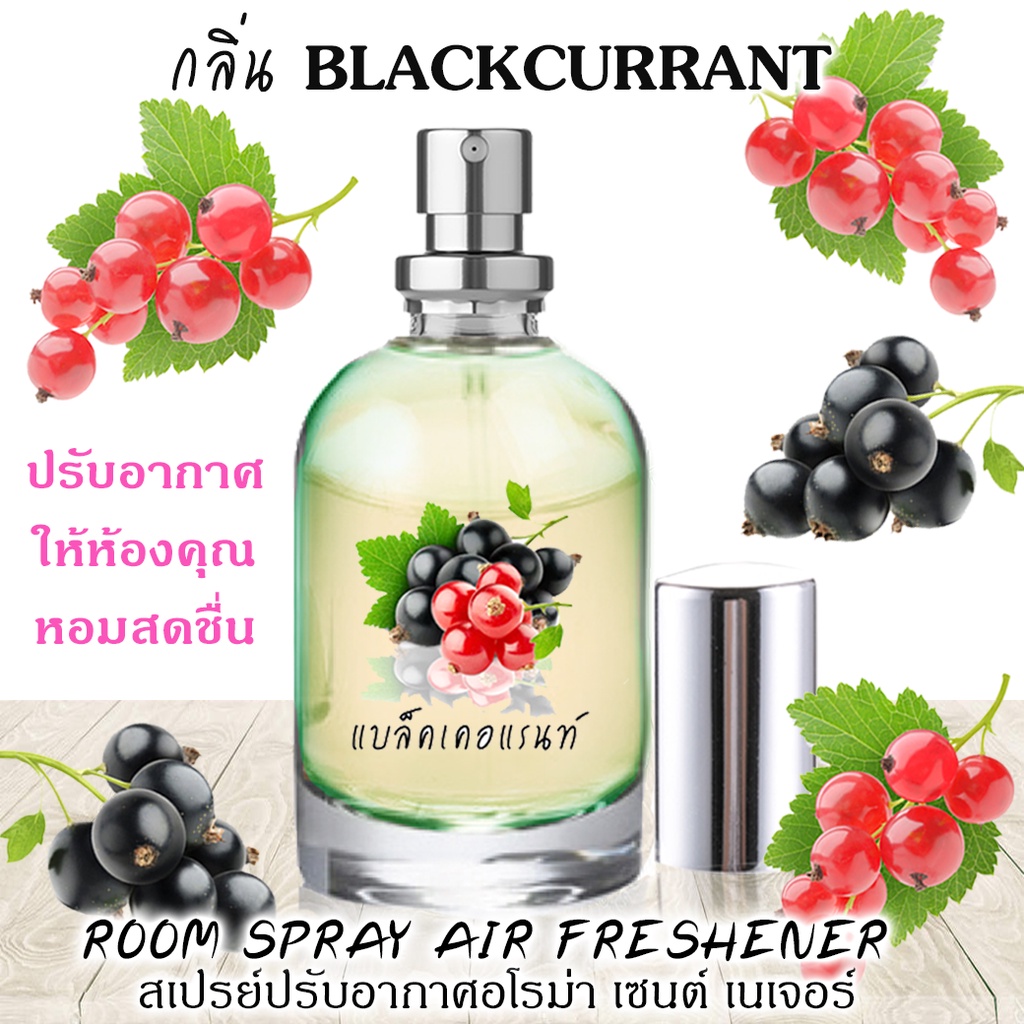 Spray Perfume Air Freshener 120ml กลิ่น Black Currant | Shopee Thailand
