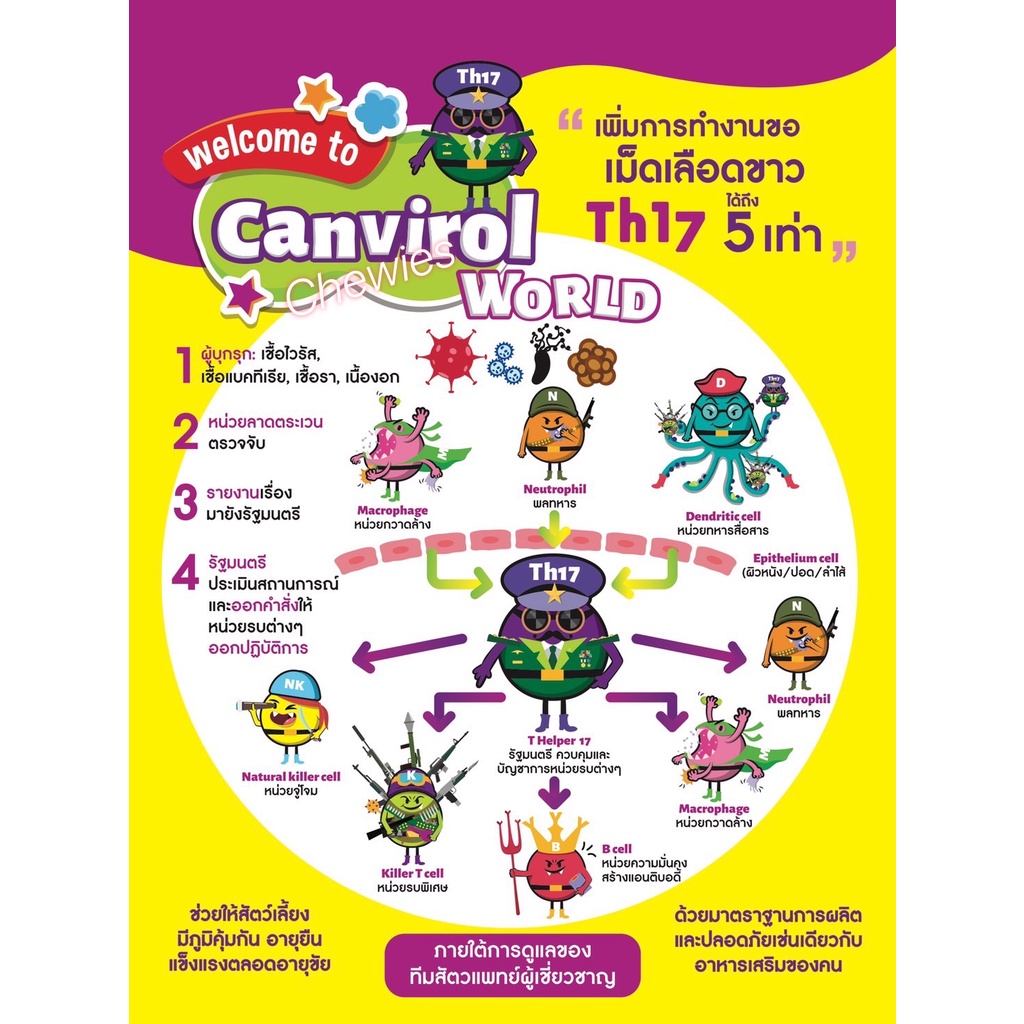 Canvirol 170mgและ850 mg(บรรจุ10-30แคปซูล)อาหารเสริมภูมิต้านทานสุนัขและ ...