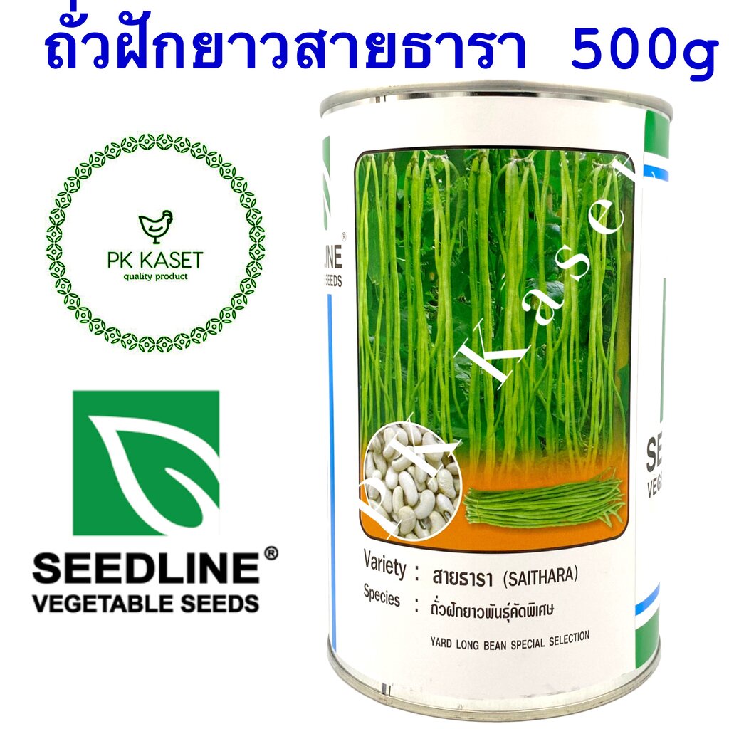 เมล็ดถั่วฝักยาว สายธารา (SAITHARA) ตราseedline กระป๋อง ขนาด 500 g | Shopee Thailand