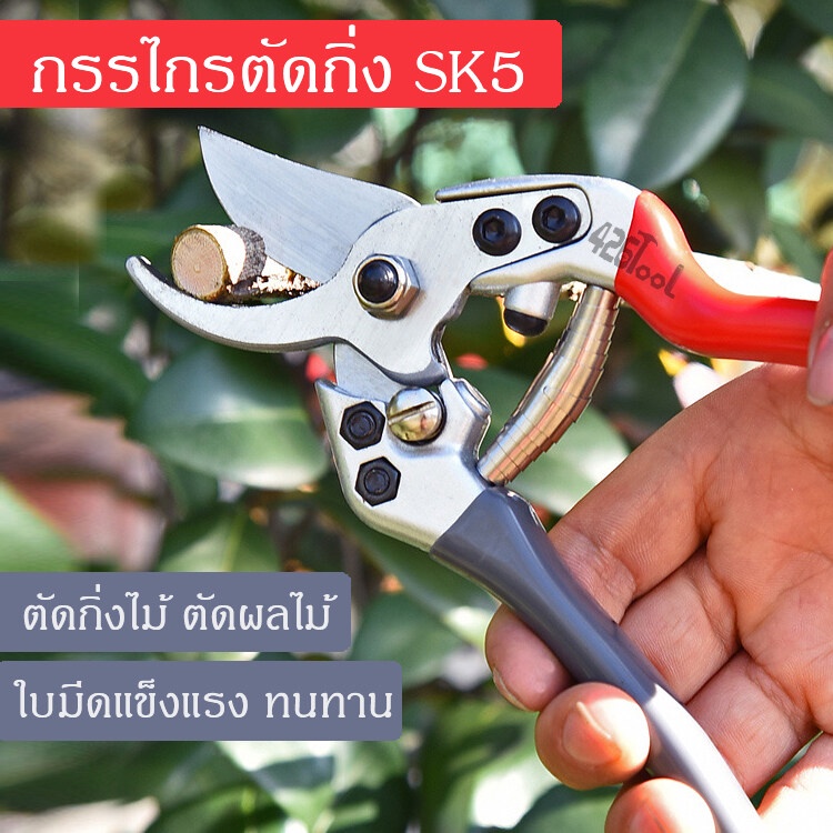 426TOOL กรรไกรตัดกิ่งไม้ SK5 ผลไม้ เครื่องมือทำสวน ญี่ปุ่น ด้ามอลูมิเนียมหุ้มยาง ลดแรงกด น้ำหนัก ...