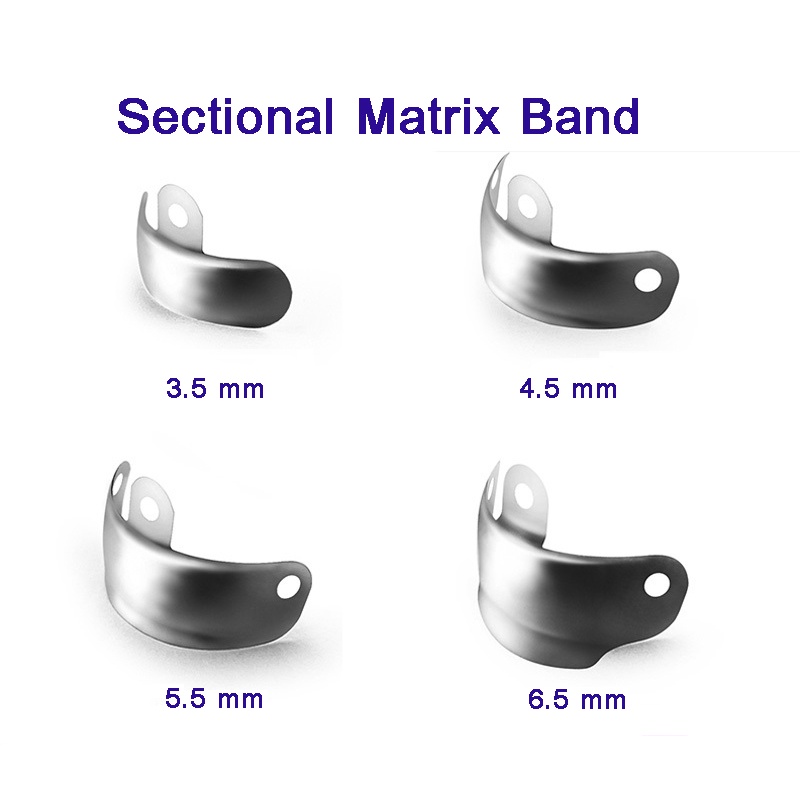 Dental Sectional Band ใช้แทนband V3 [มีของพร้อมส่ง] | Shopee Thailand