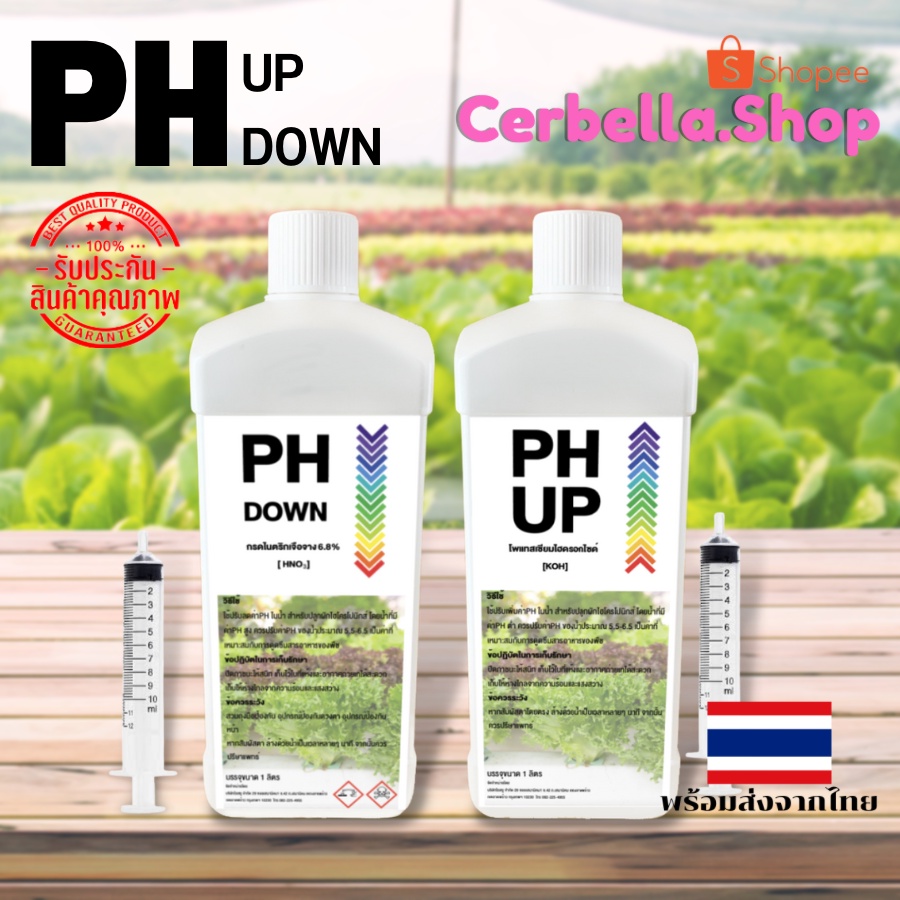 pH UP & pH DOWN น้ำยาปรับค่าน้ำ สำหรับปลูผักไฮโดรโปนิกส์ ขนาด 1 ลิตร สารละลายโพแทสเซียมไฮดรอกไซด ...
