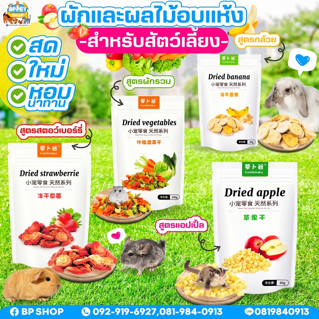 (IPshop) ผลไม้อบแห้ง สำหรับกระต่าย แฮมเตอร์ สัตว์ฟันแทะ แอปเปิ้ลอบแห้ง ...