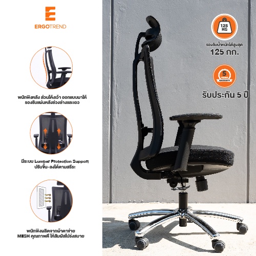 Ergotrend เก้าอี้เพื่อสุขภาพเออร์โกเทรน รุ่น Anomous | Shopee Thailand