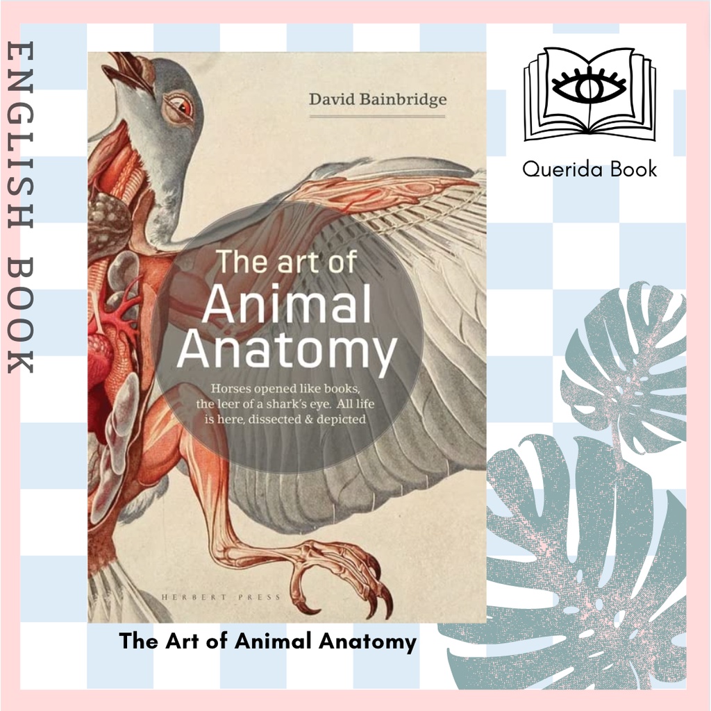 [Querida] หนังสือภาษาอังกฤษ The Art of Animal Anatomy : All Life is ...