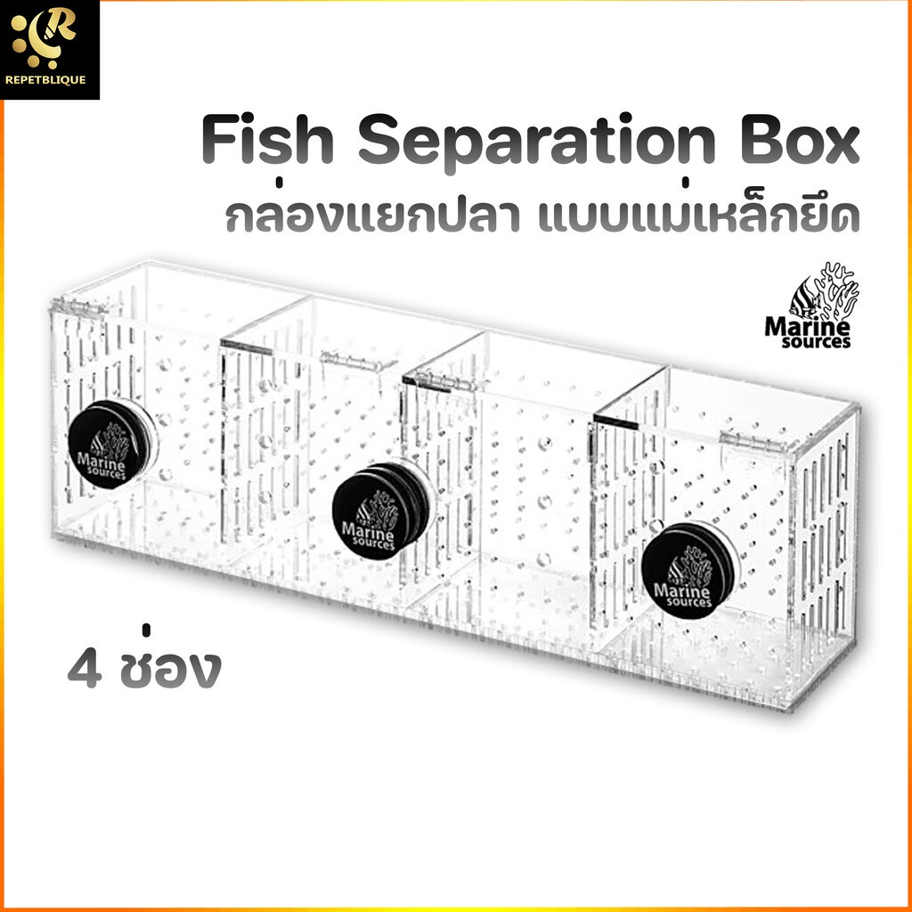 Marine Source กล่องแยกปลา แม่เหล็กยึดกระจก 4 ช่อง Fish Separation Box ...