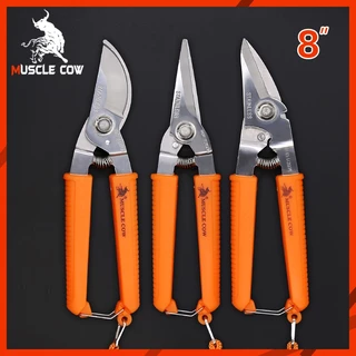 MUSCLE COW Tools, ร้านค้าออนไลน์ | Shopee Thailand
