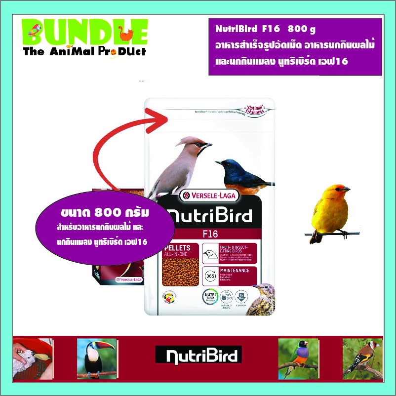 NutriBird F16 800 g อาหารสำเร็จรูปอัดเม็ด อาหารนกกินผลไม้ และนกกินแมลง ...